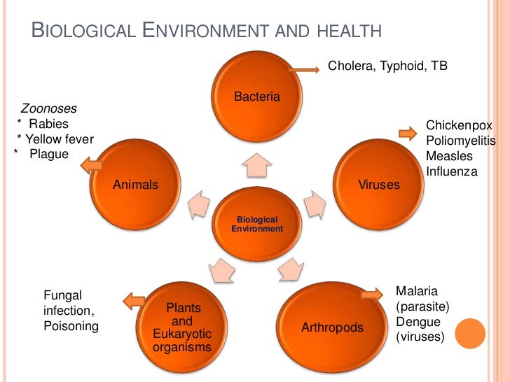 Environment Introduction
