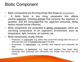 Mening, Nature and Components Of Environment | PPT