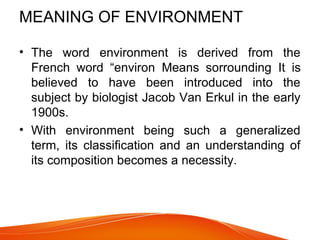 What does environment mean store