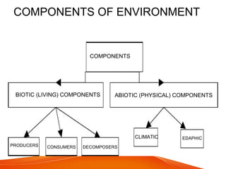 Mening, Nature and Components Of Environment | PPT