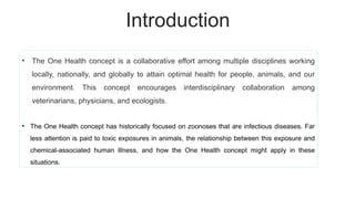 Environment and public health adaptation in OneHealth.pptx