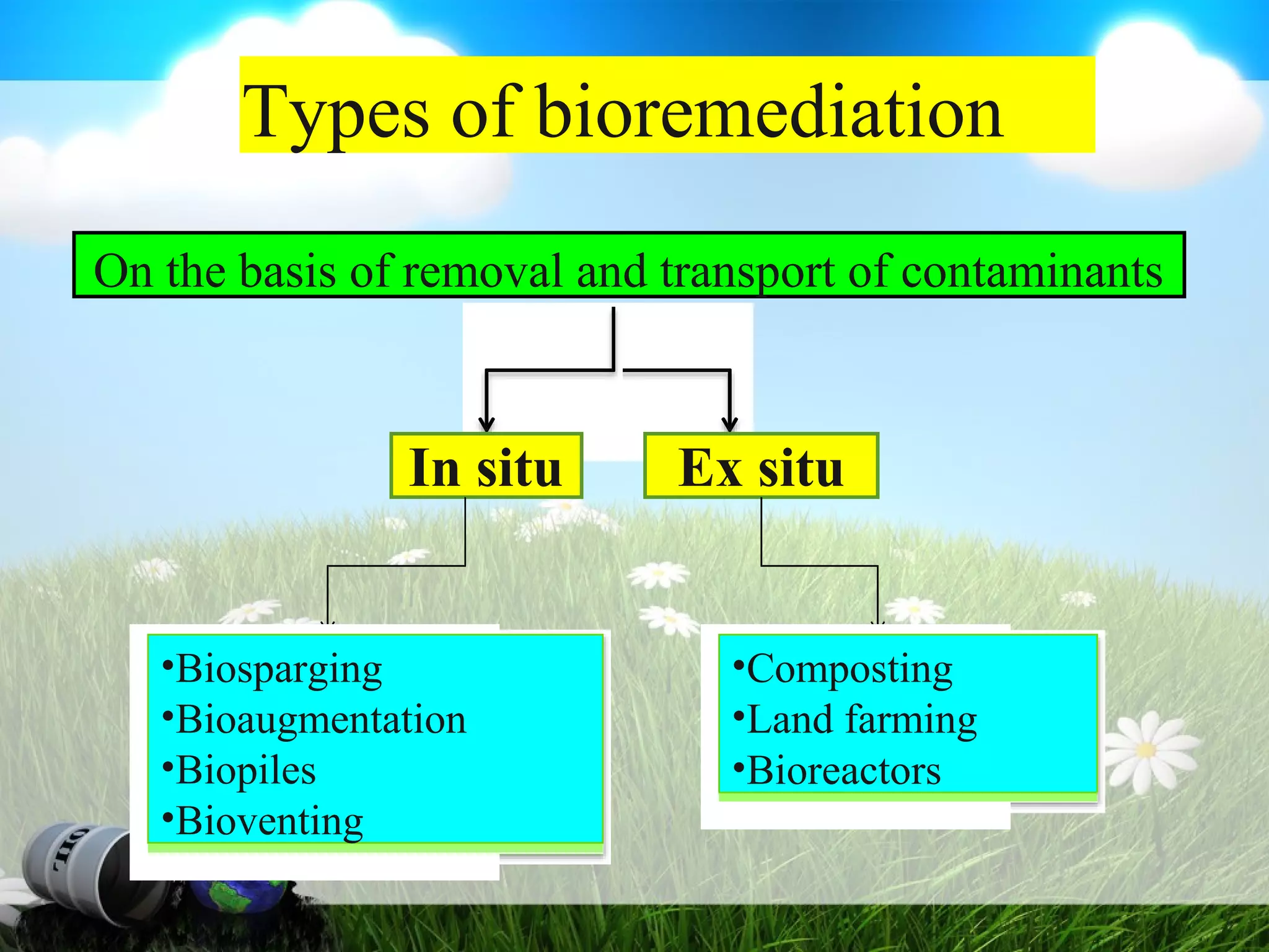 Bioremediation of petroleum hydrocarbons in contaminated soil | PPT