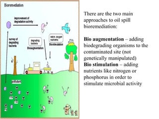 Bioremediation of petroleum hydrocarbons in contaminated soil | PPT