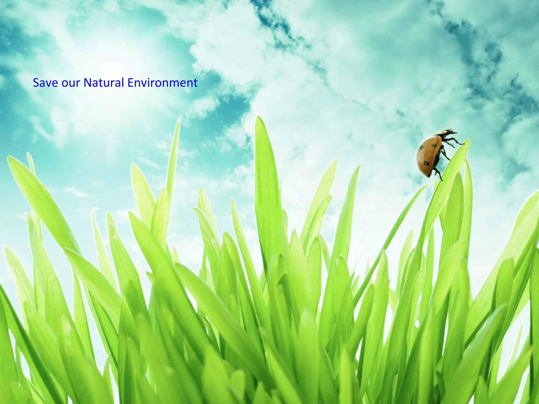 Environment ppt-template | PPT