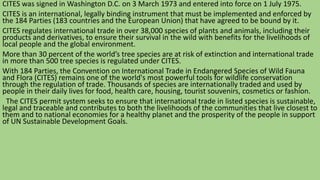 Environment Ecological Principles Geography | PPTX