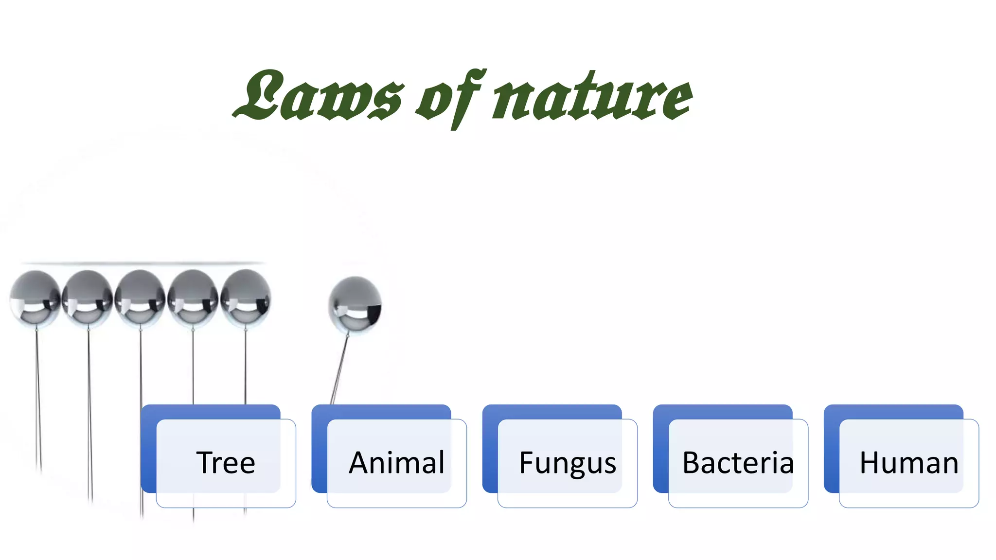 Environment ^0Ecology susheel Vishwakarma.pptx