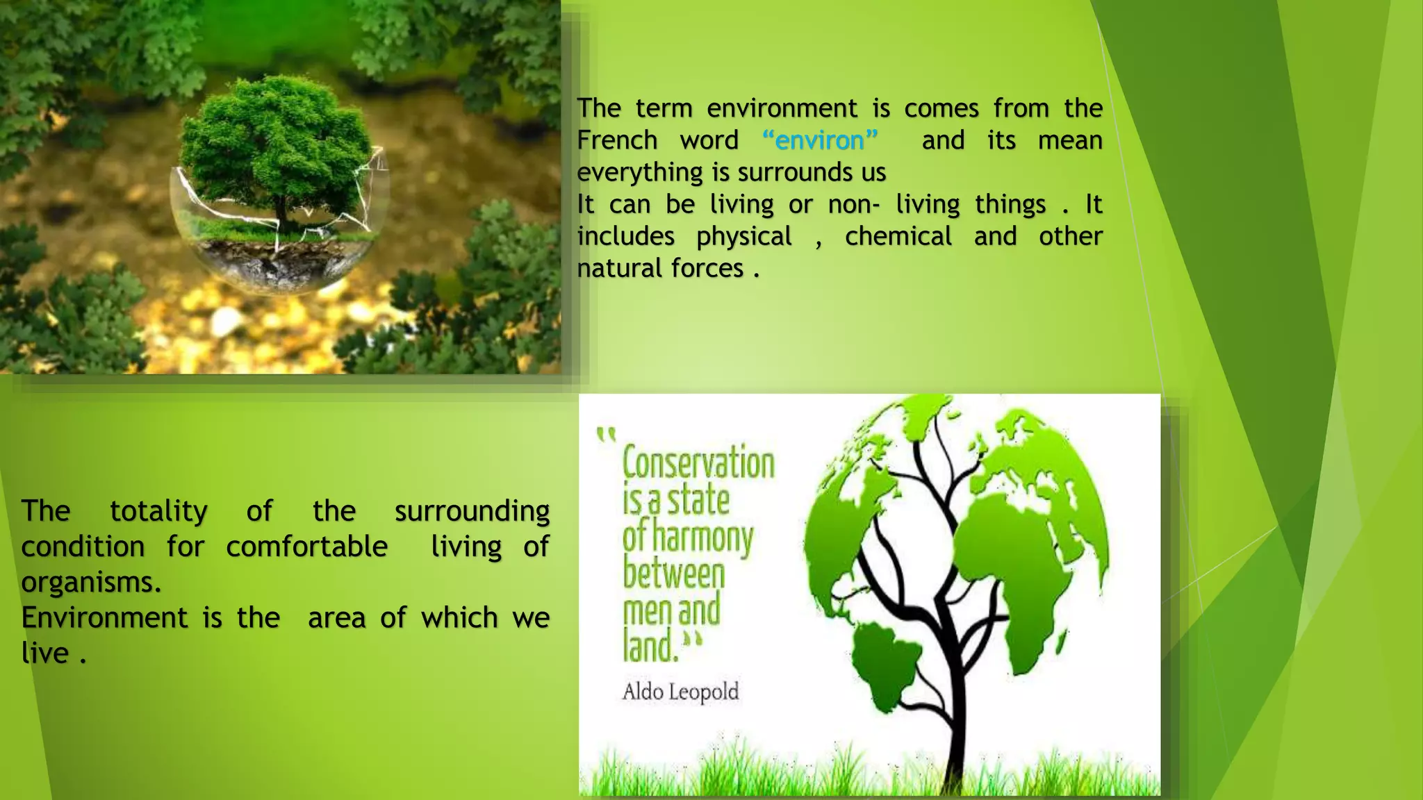 Environment 2 | PPTX