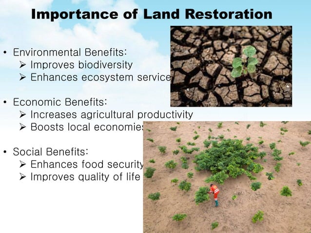 Strategies and Solutions for Sustainable Land Management.ppt ...