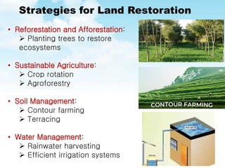 Strategies and Solutions for Sustainable Land Management.ppt
