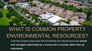common property Environmental resources 23.pptx
