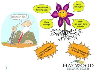 Environmental Adaptation | PPT | Science