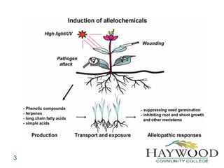 Environmental Adaptation | PPT
