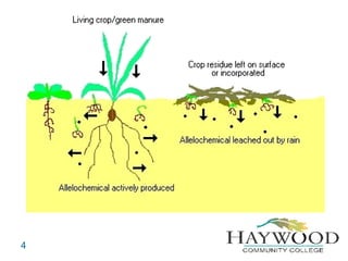 Environmental Adaptation | PPT | Science