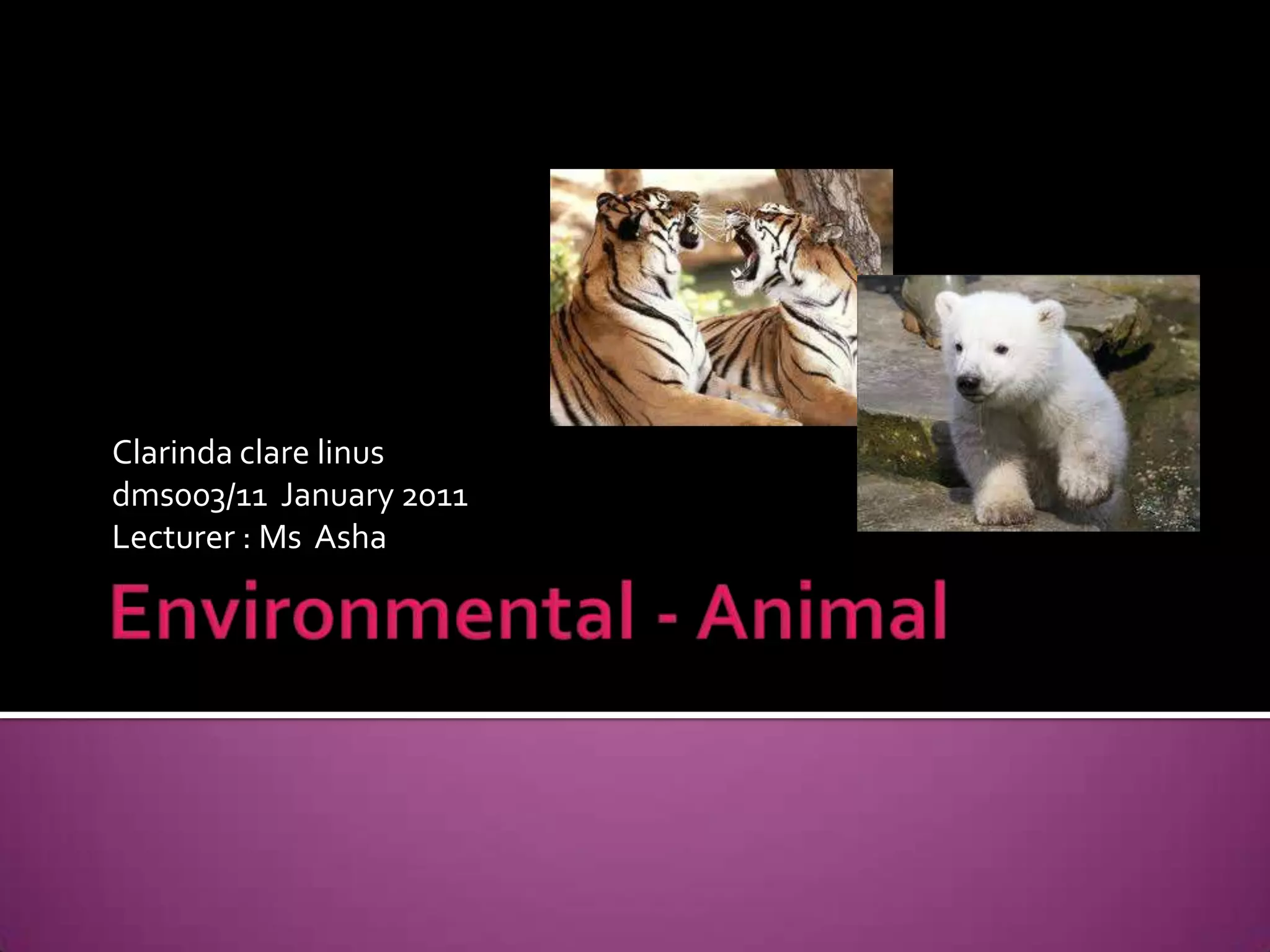 Environmental animal | PPT