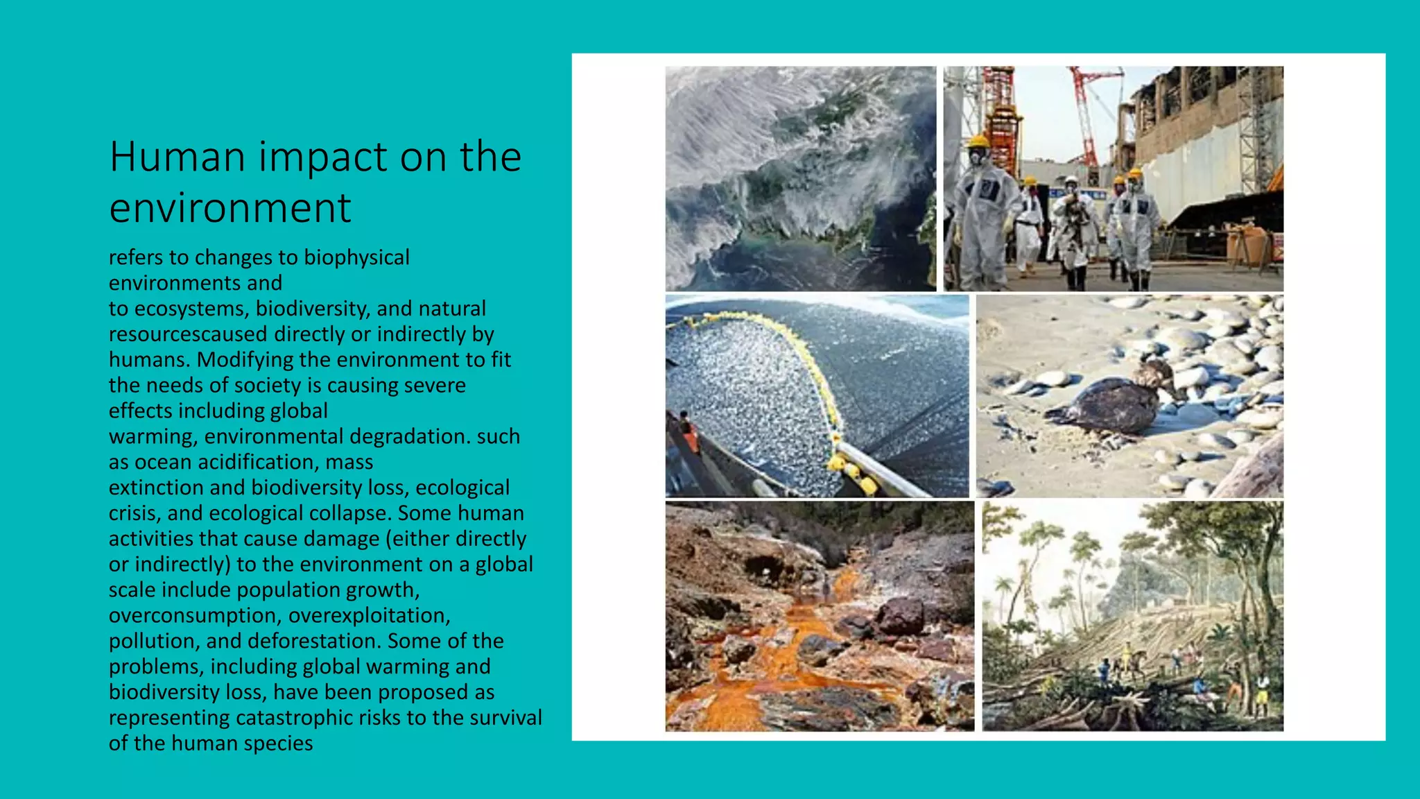 ENVIRONMENTAL-EVOLUTION-1.pptx