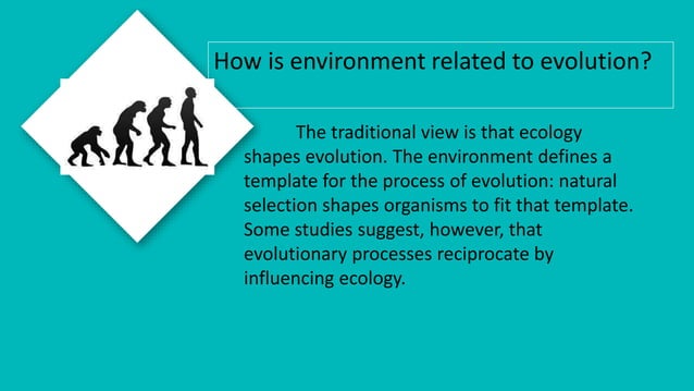 ENVIRONMENTAL-EVOLUTION-1.pptx