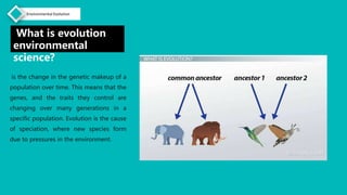 ENVIRONMENTAL-EVOLUTION-1.pptx