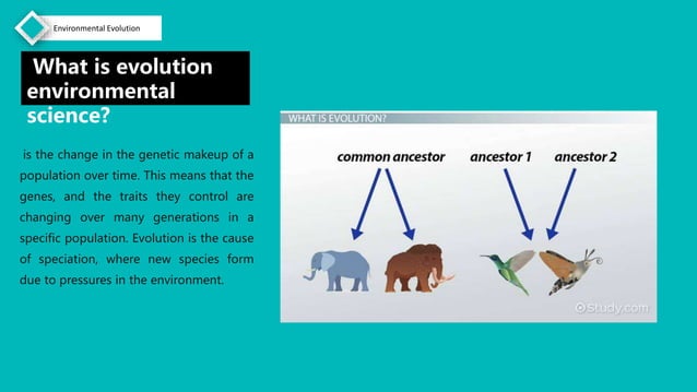 ENVIRONMENTAL-EVOLUTION-1.pptx