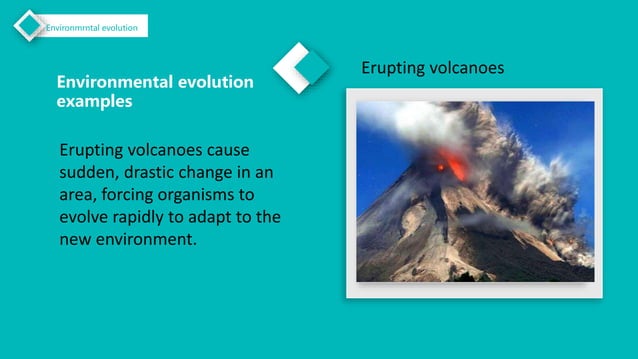 ENVIRONMENTAL-EVOLUTION-1.pptx