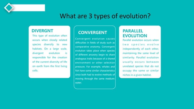ENVIRONMENTAL-EVOLUTION-1.pptx