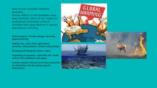 ENVIRONMENTAL-EVOLUTION-1.pptx