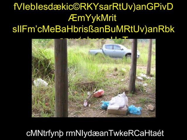 Environmental Issues Cambodia | PPS