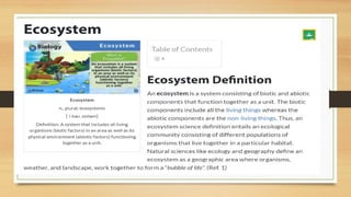 Environmental-Management-and-ProtectionCSC.pptx