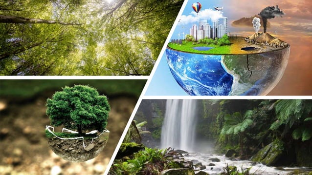 Environmental-Management-Unit-1-Revision.pptx | Environment | Science