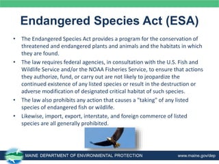 Environmental-Regulations-PP.pptx