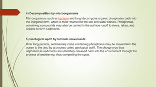 environmental-report-for-group-7_092146 (2).pptx