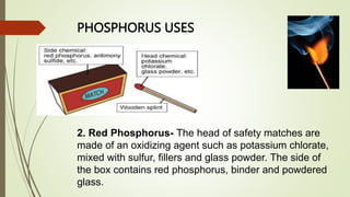 environmental-report-for-group-7_092146 (2).pptx | Geology | Science