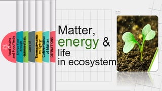 Environmental-Science-Report.pptx