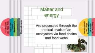 Environmental-Science-Report.pptx