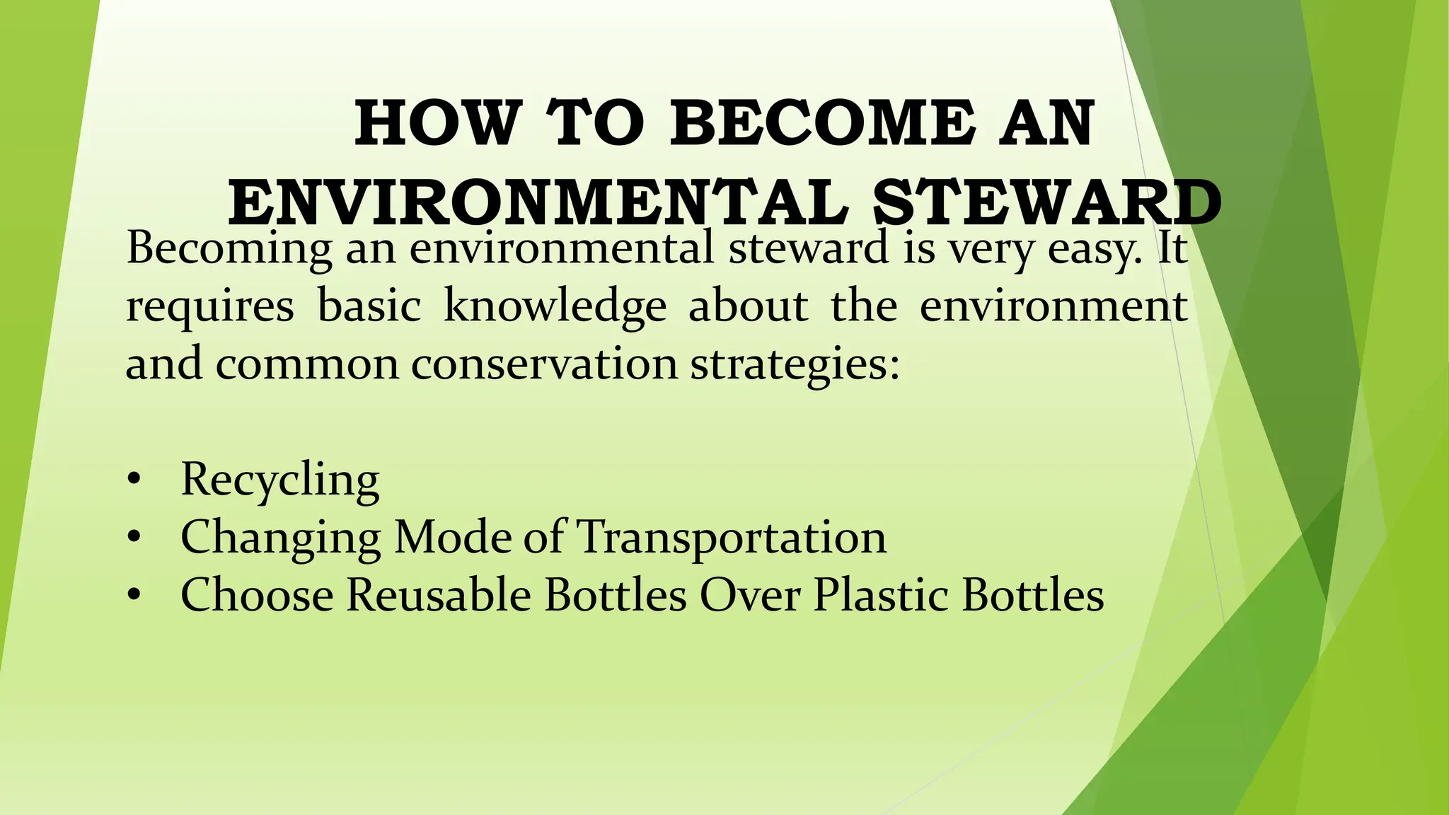 ENVIRONMENTAL STEWARDSHIP (Power Point Presentation).pptx