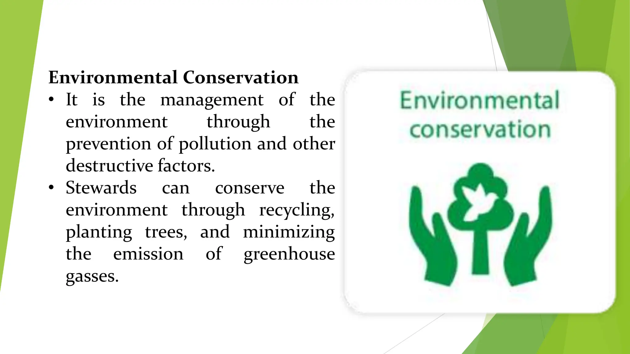 ENVIRONMENTAL STEWARDSHIP (Power Point Presentation).pptx