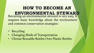 ENVIRONMENTAL STEWARDSHIP (Power Point Presentation).pptx