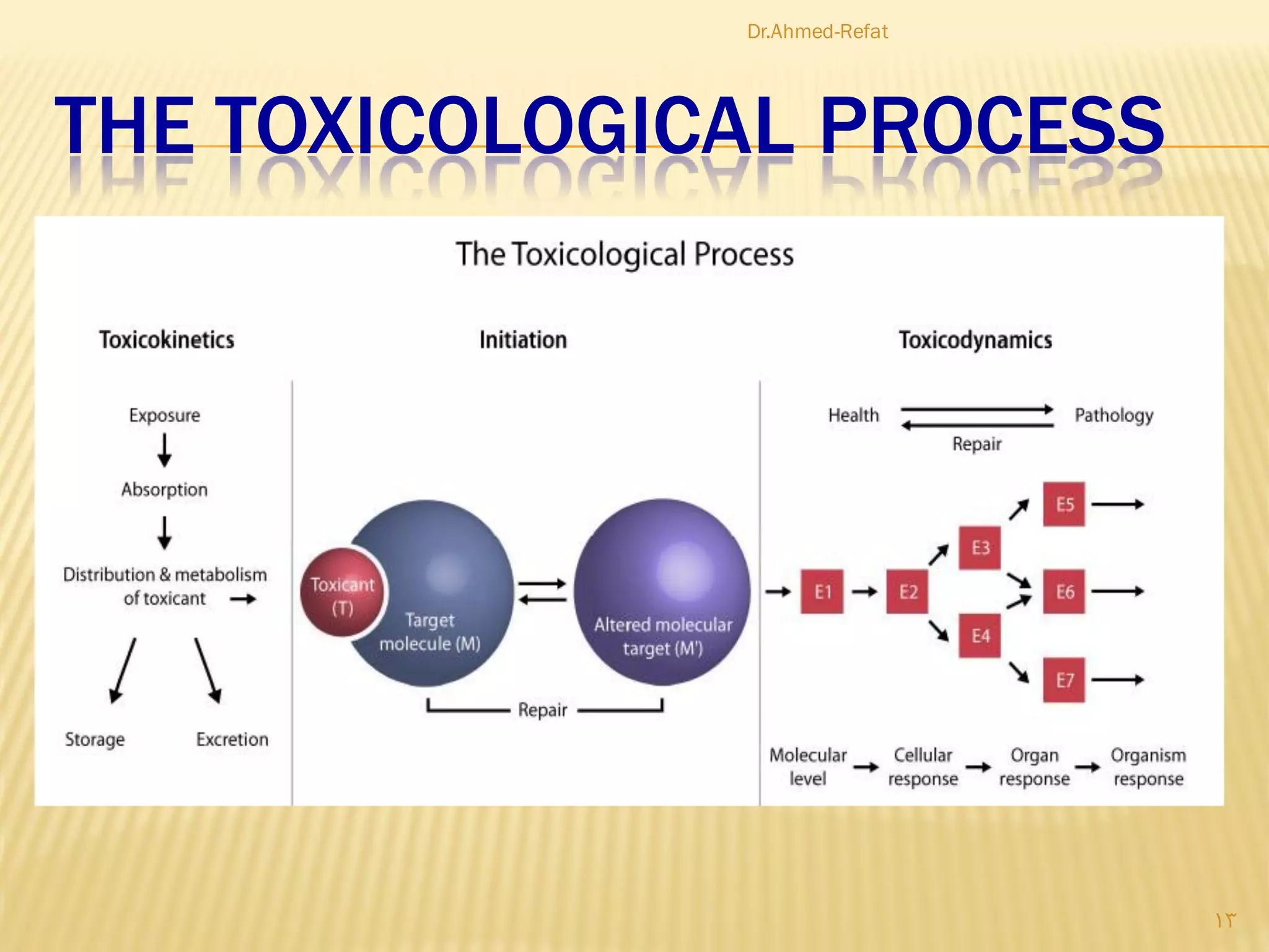 Environmental toxicology | PDF