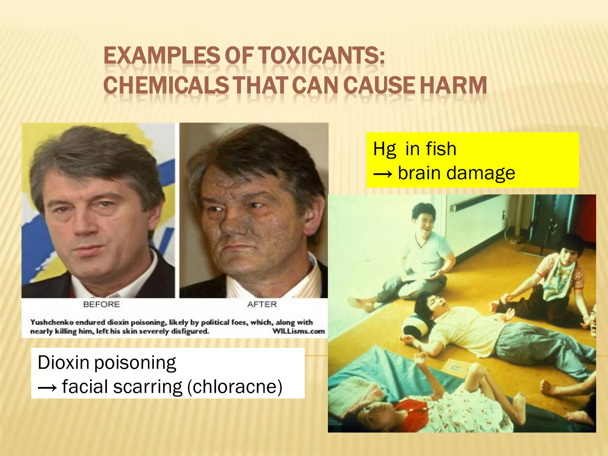 Environmental toxicology | PDF