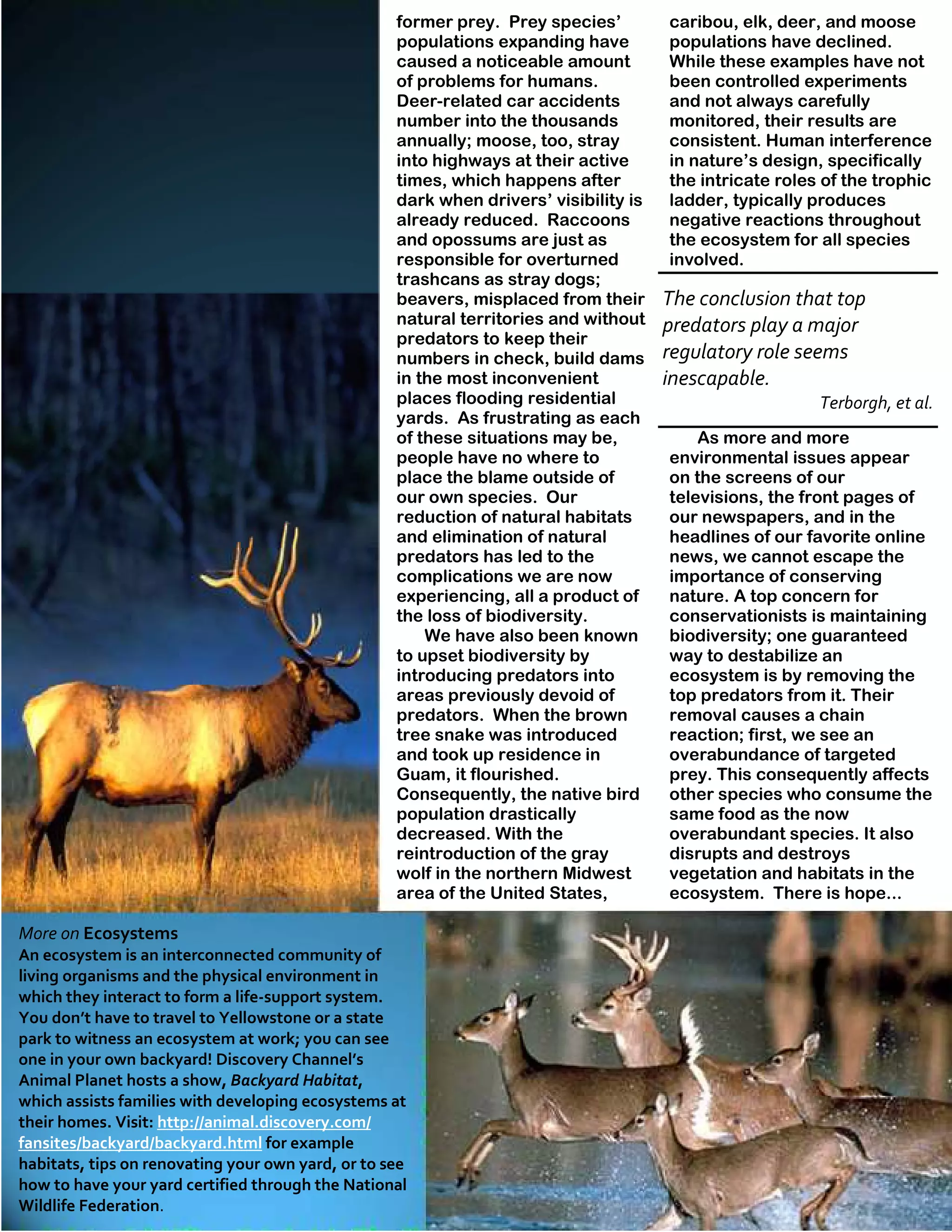 Environmental Writing Final Rewrite | PPT