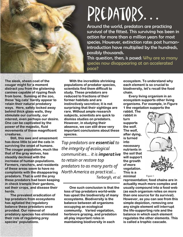 Environmental Writing Final Rewrite | PDF