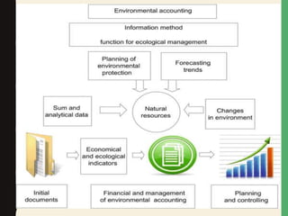 Environmental accounting | PPTX