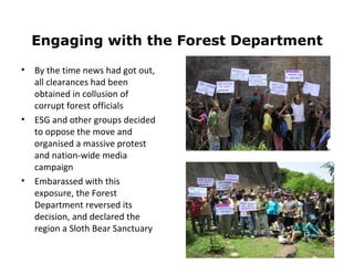 Environmental Advocacy Examples