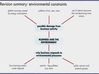 Environmental and ethical issues | PPTX