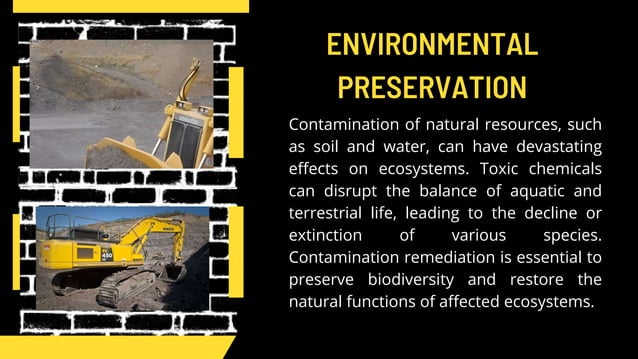 Environmental and Human Health Protection Through PPT .pptx | Free Download