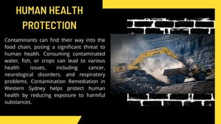 Environmental and Human Health Protection Through PPT .pptx