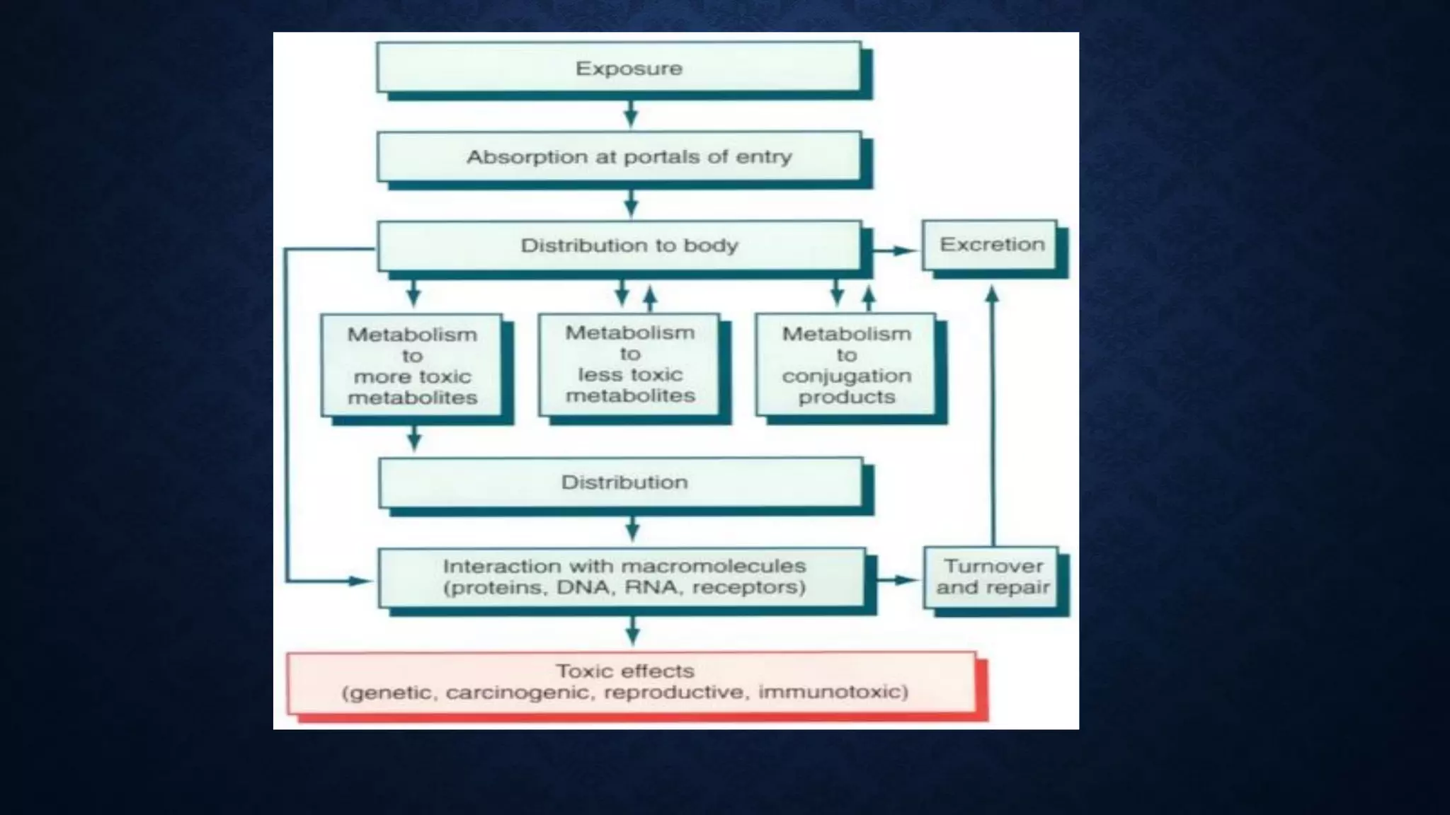 Environmental and nutritional pathology | PDF