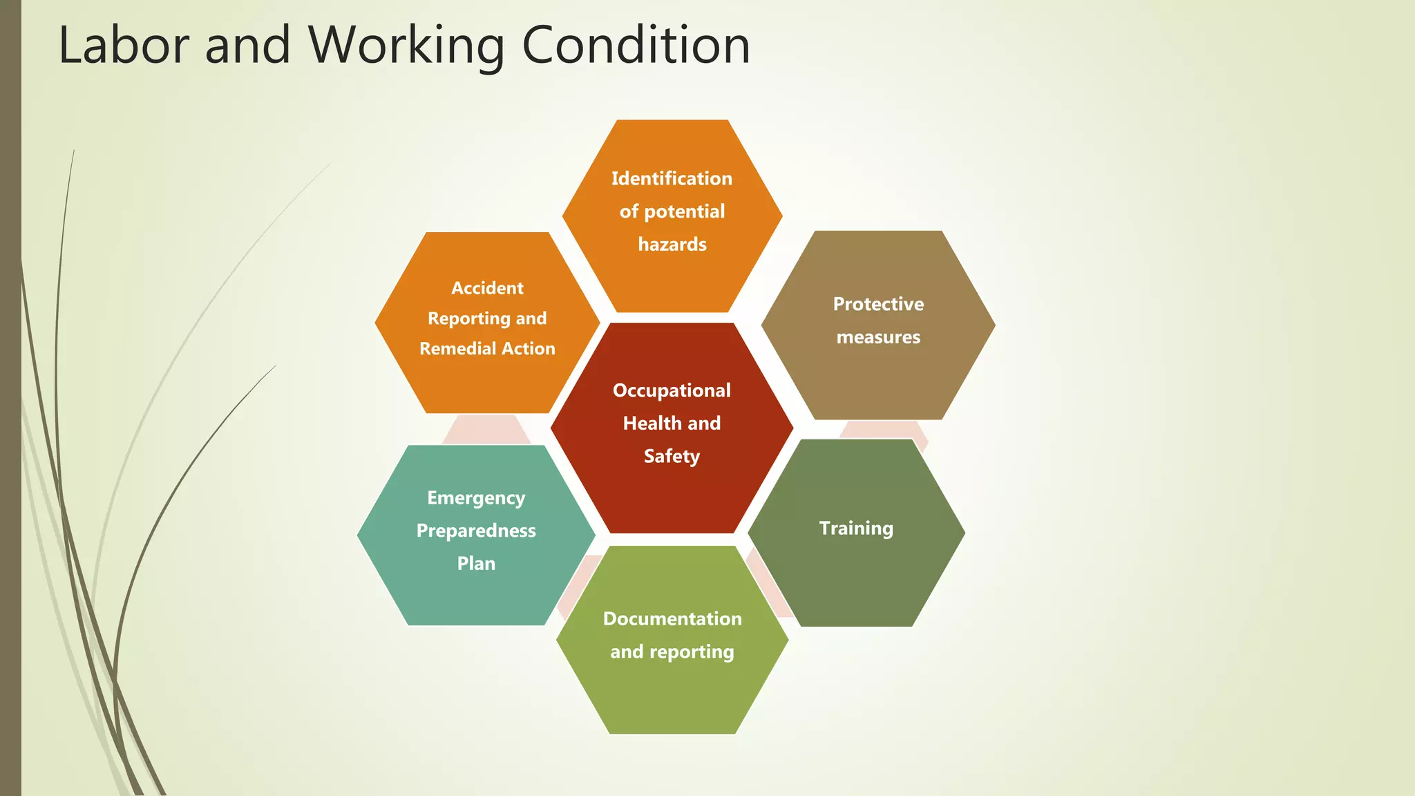 Environmental and social due diligence | PPTX