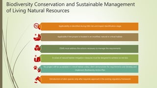 Environmental and social due diligence | PPTX