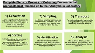 Environmental archaeology and various aspects.pptx