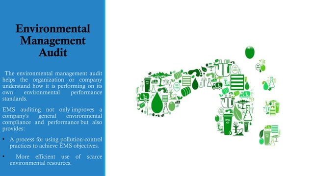ENVIRONMENTAL AUDIT on eia report (1).pptx
